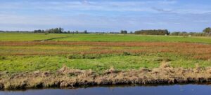 Droogmakerij de Beemster (Beemster Polder) | World Heritage Travel