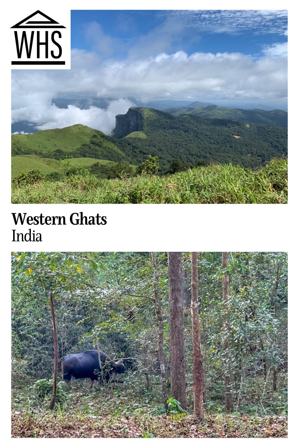 Western Ghats | World Heritage Sites