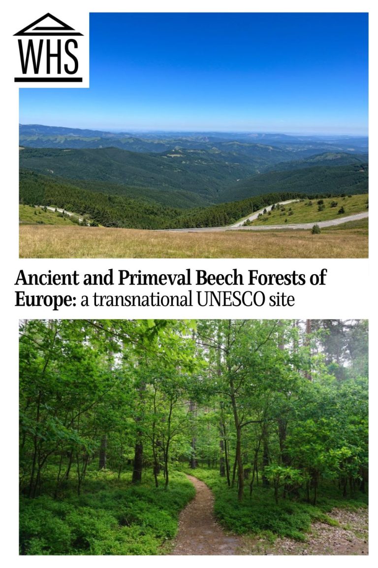 Ancient and Primeval Beech Forests of the Carpathians and Other Regions of Europe | World ...