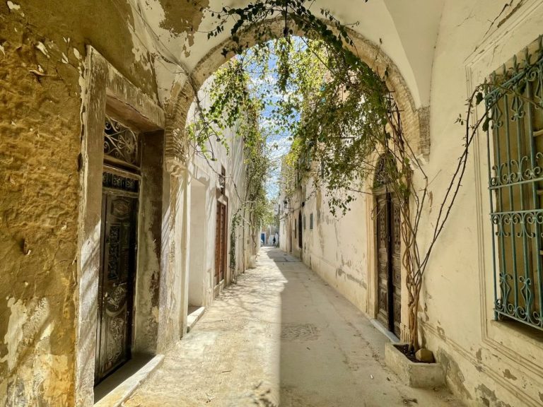 Medina of Tunis | World Heritage Sites