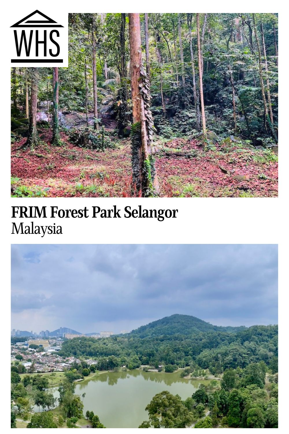 Forest Research Institute Malaysia Forest Park Selangor | World ...